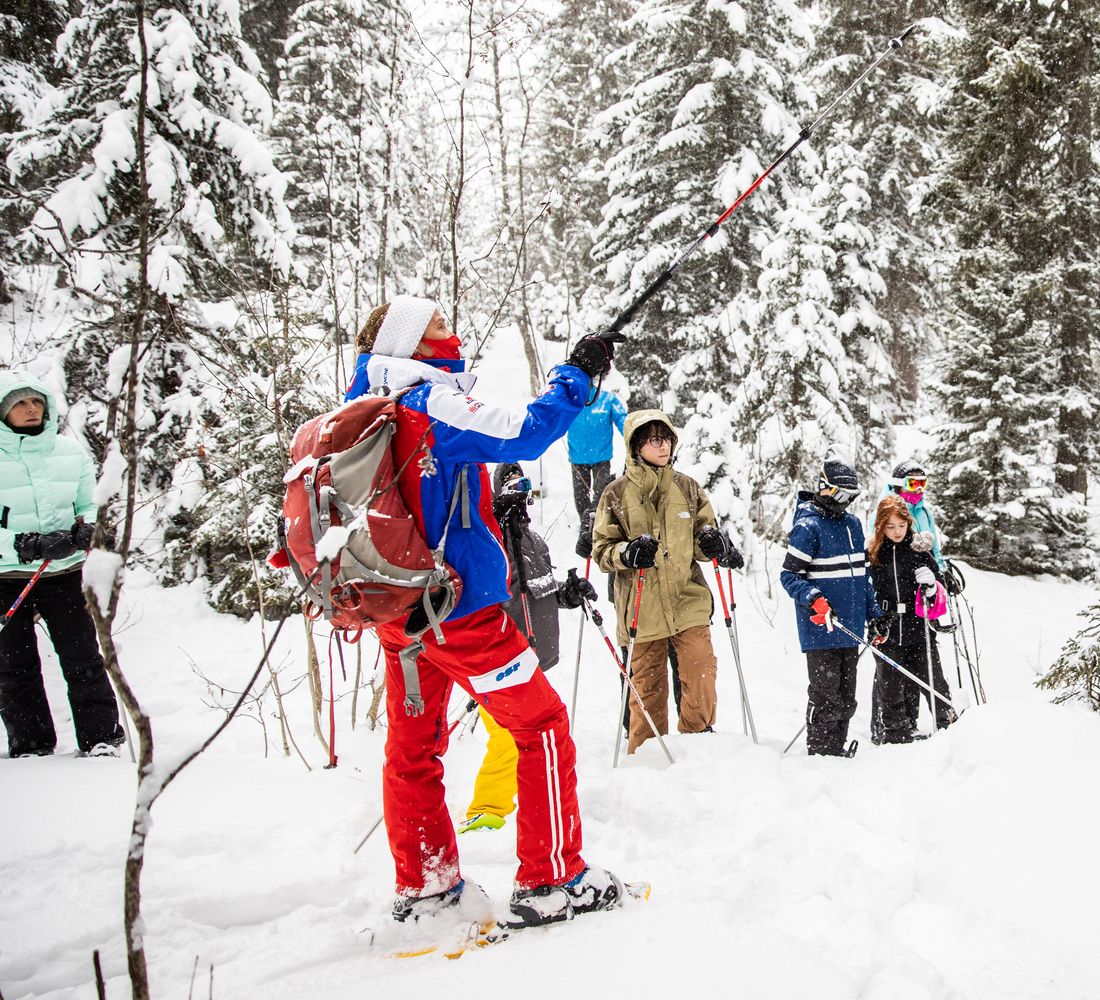 Méribel ski school: Book your ski lessons!
